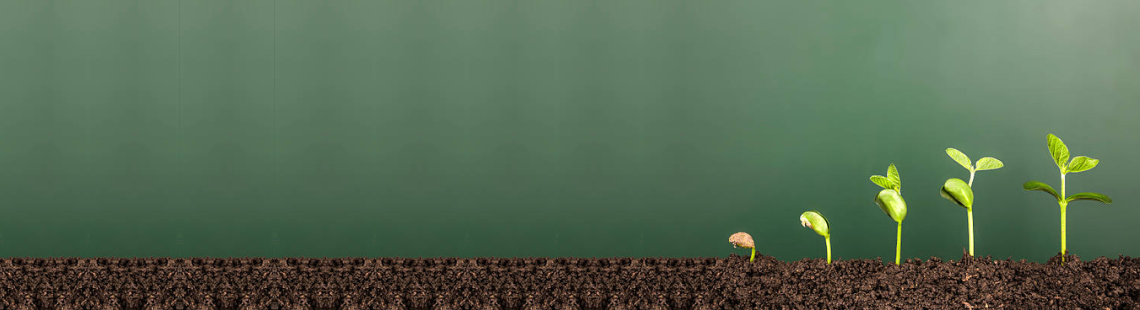 Improvement In Crop Yields | Study Materials | Blog